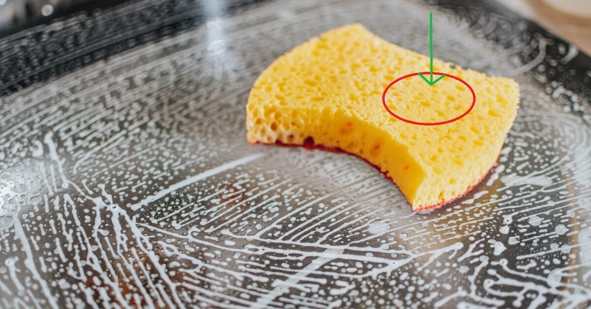 Your sponge can be a Haven for Germs and Bacteria: how to get rid of them