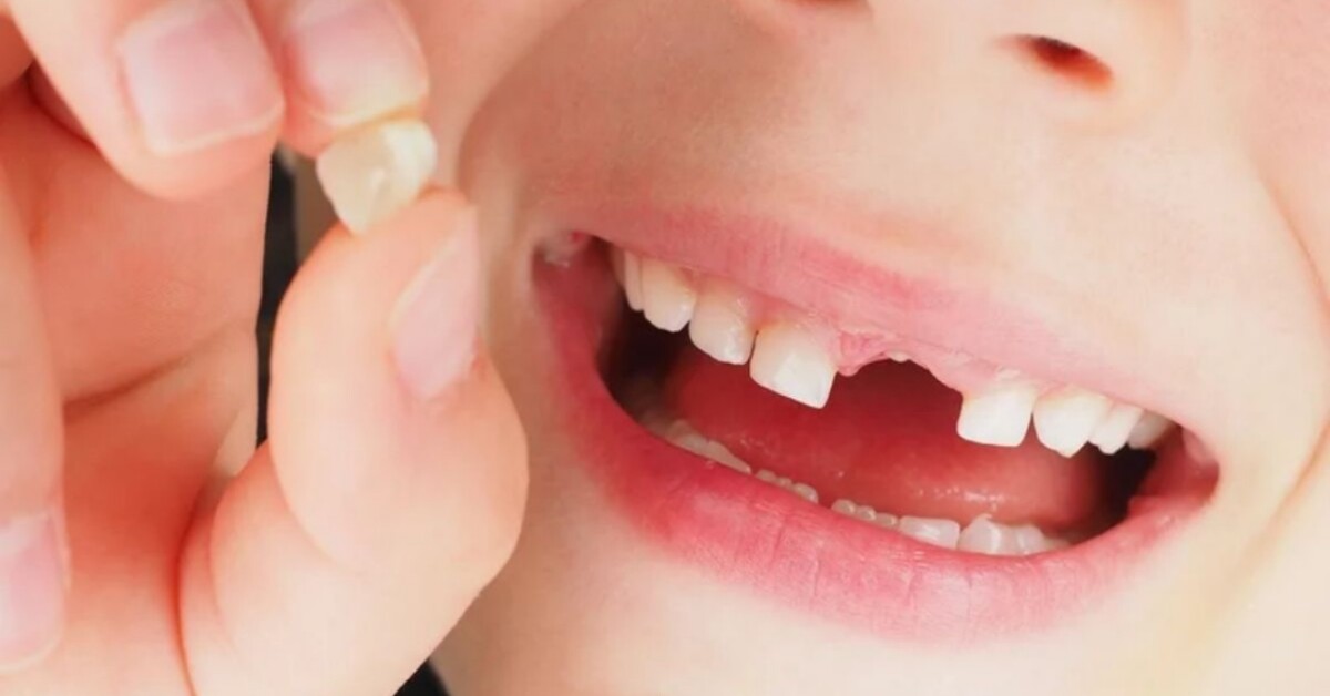 Saving your child’s baby teeth could SAVE their life: we’ll explain why