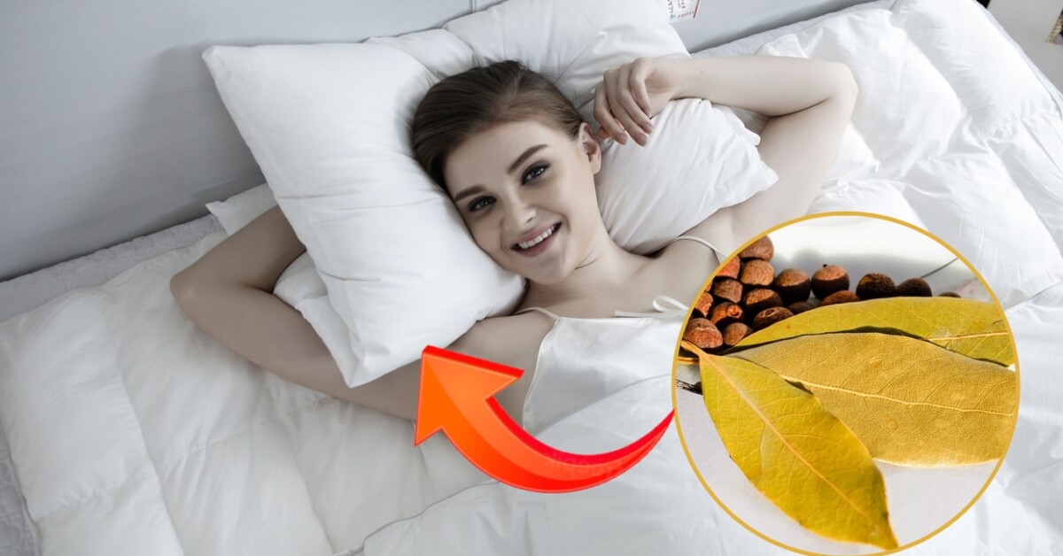 Putting bay leaves under your bed: where did this custom passed down ...
