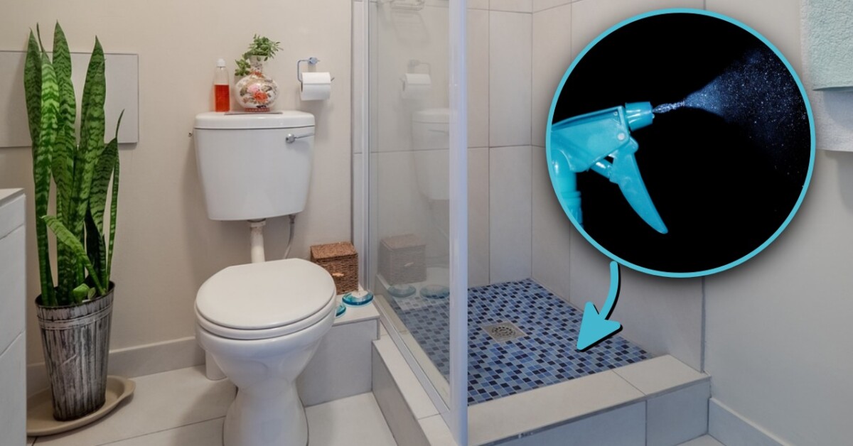 Getting rid of limescale and water stains from the shower