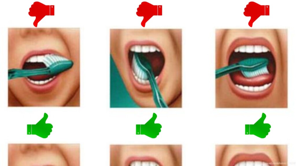This will show you how to brush your teeth the right way