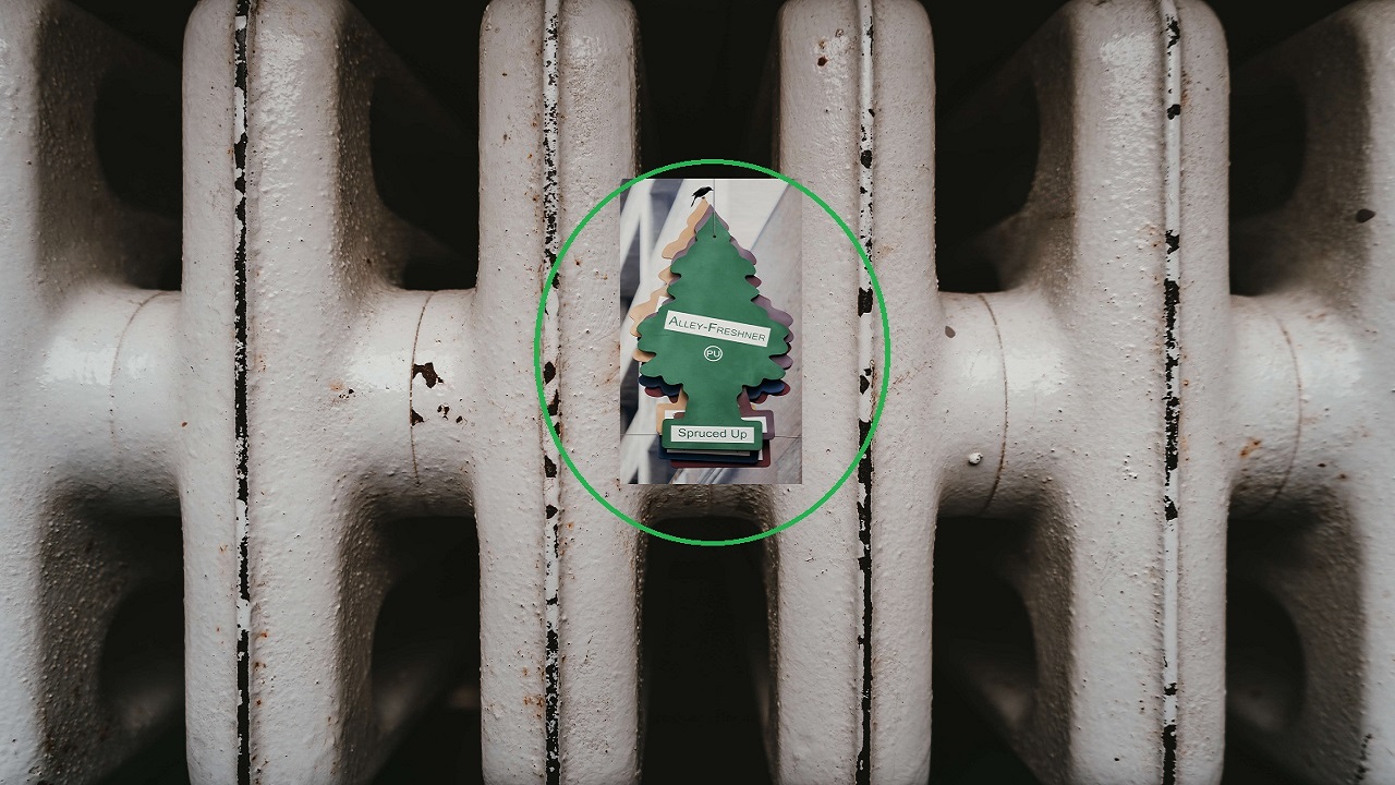 The Trick to Keep Flies Away With a Bag of Water and Foil Balls