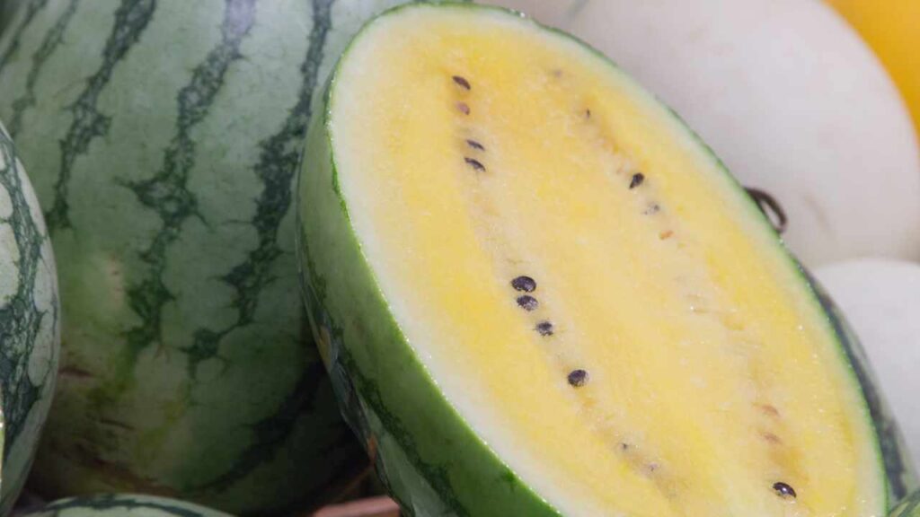 Have You Ever Seen Yellow Watermelon? What Is the Difference and How It ...