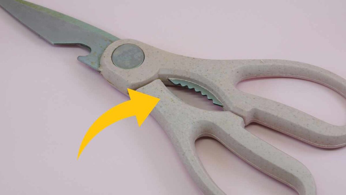 Do You Know What the Serrated Part of the Scissors is Really For? Only ...