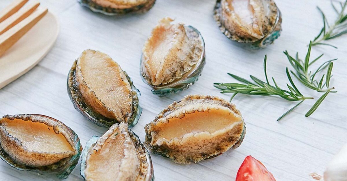 They Look Like Oysters but They are Not: How to Recognize Abalone