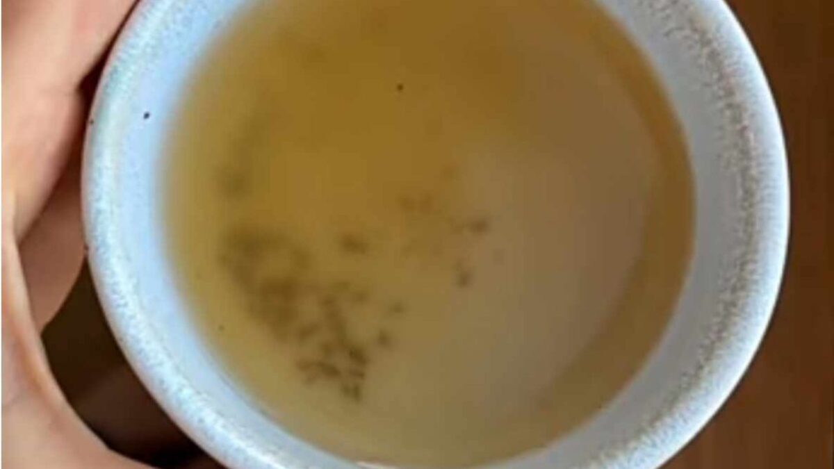 The Highly Effective Trap for Midges: You Only Need Two Ingredients