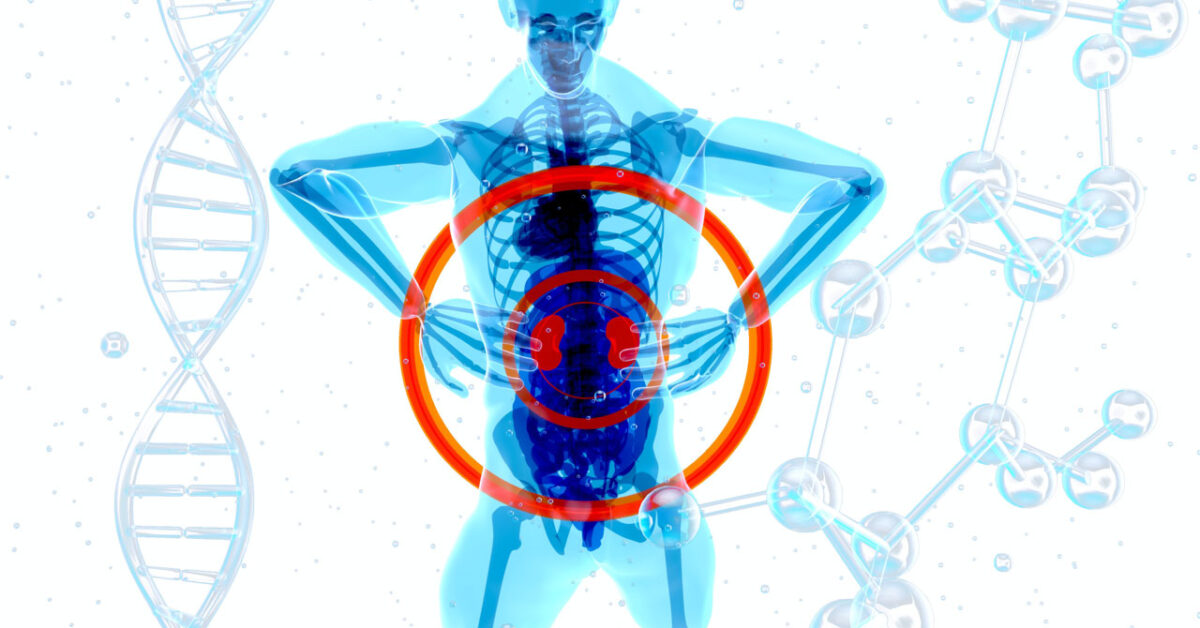 Your Kidneys are Giving You Warning Signs If You Have Any of These ...