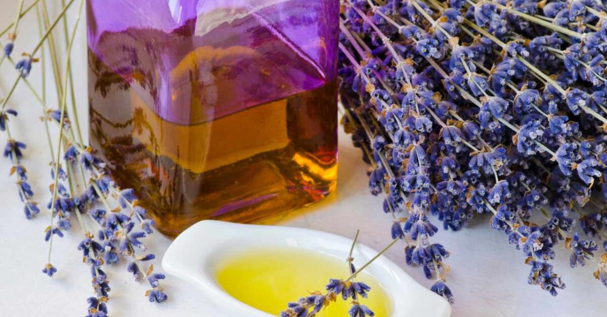 An Easy and Effective Method to Make Lavender Essential Oil at Home