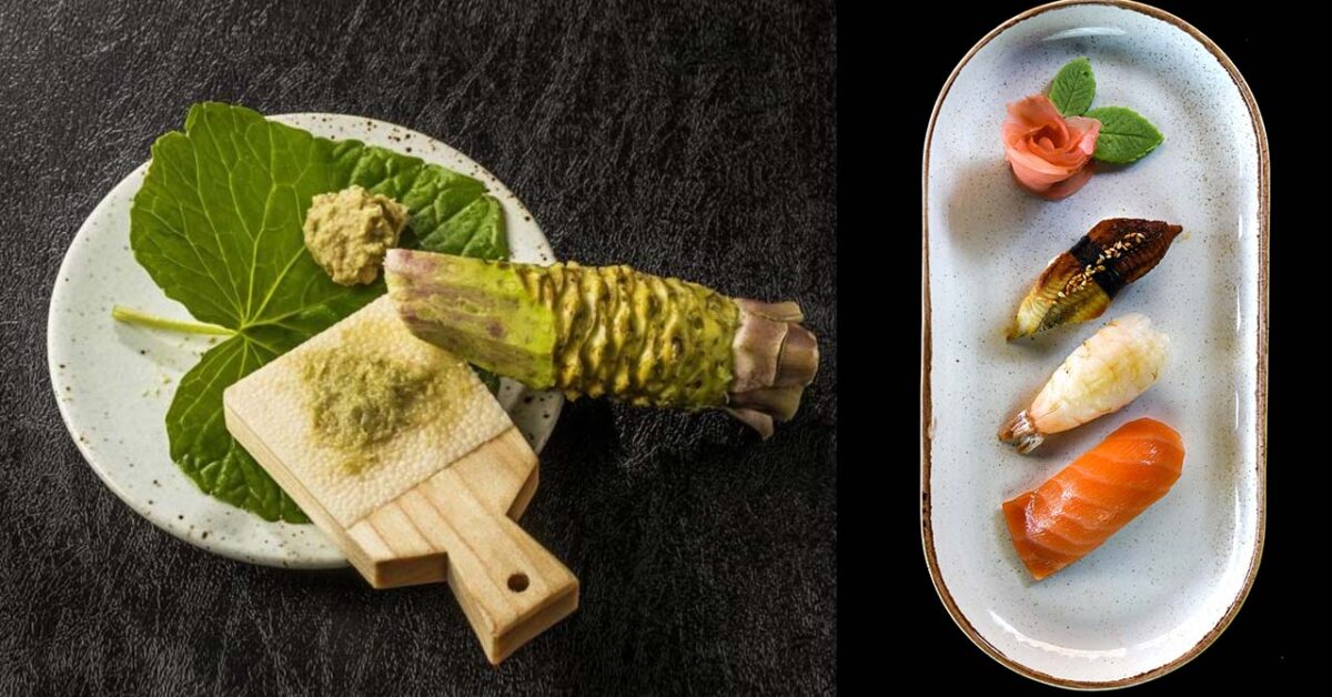 Japanese Wasabi, a Plant with Strong Spicy Notes: Everything You Should ...