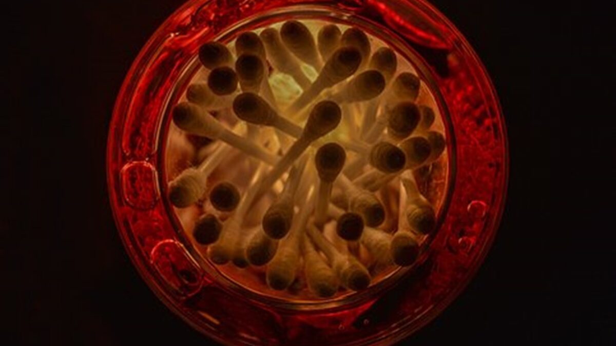 10 Ingenious Uses of the Cotton Swab That Not Everyone Knows