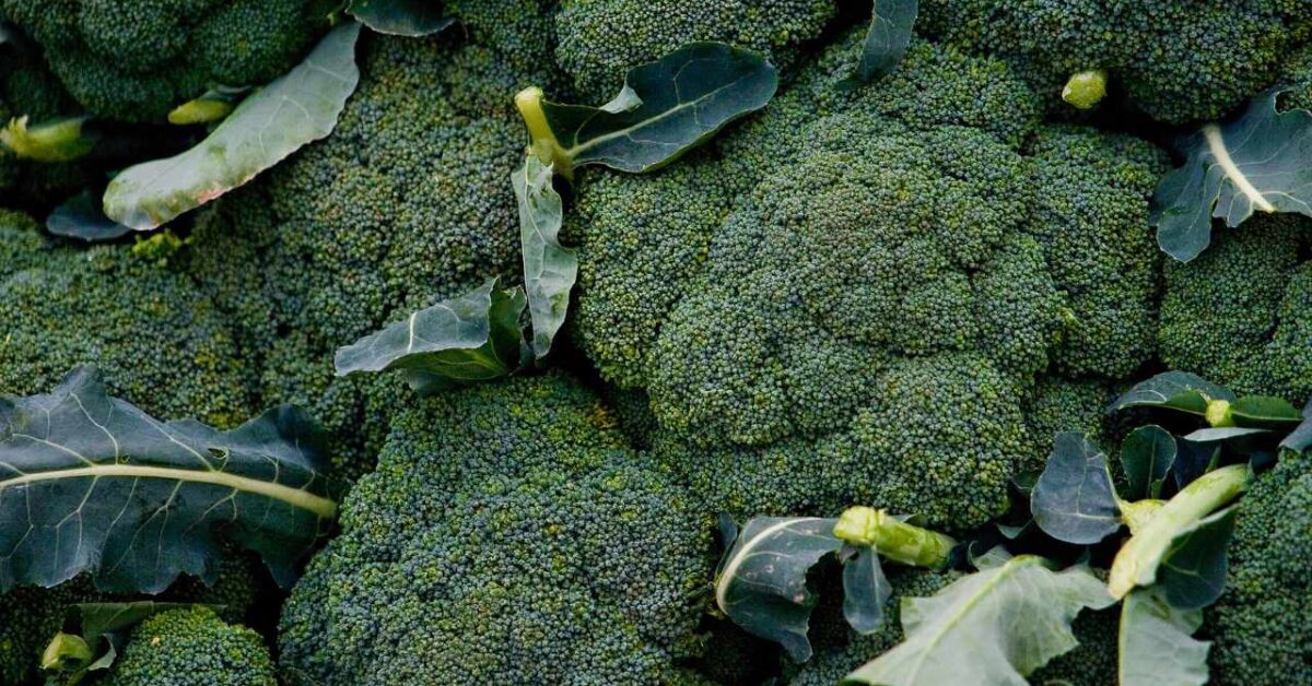 Don't Throw Them Away, Like Using Broccoli Legs and Leaves