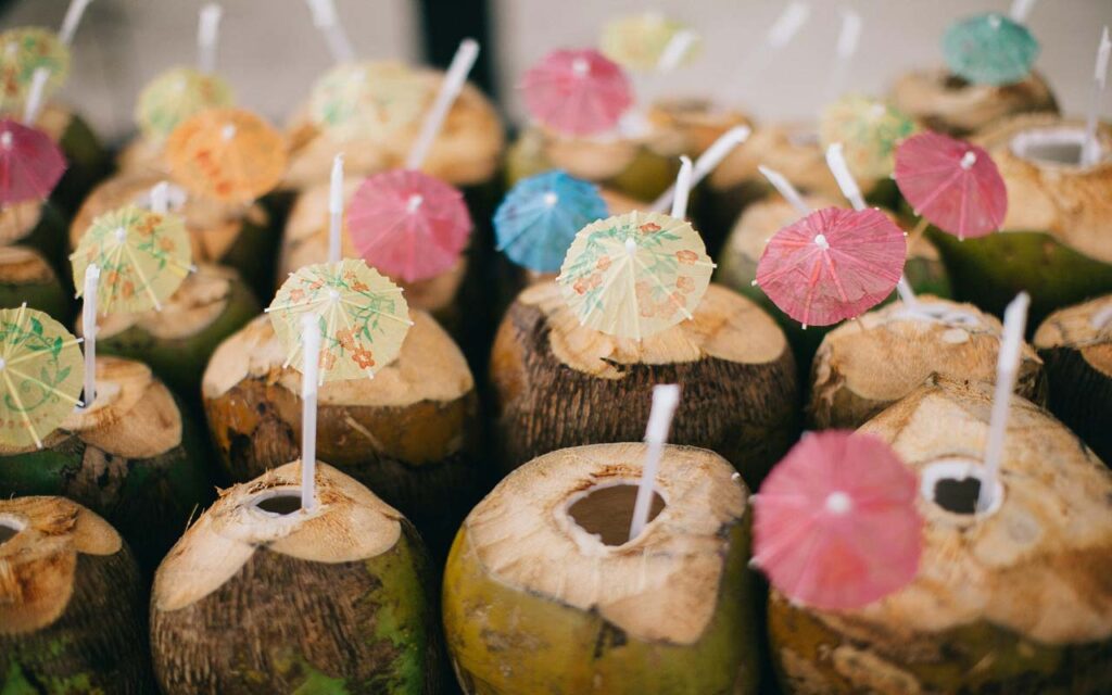 Growing a Coconut Tree From a Coconut: the Water Propagation Method