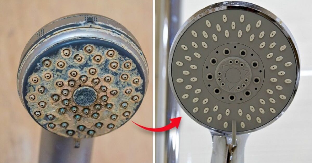 Are the Holes in the Shower Head Full of Limescale? Let's See Some ...