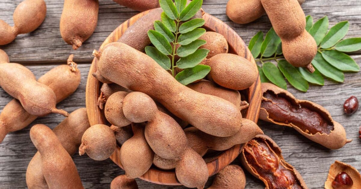 A Plant That We Have Often Heard About, but Whose Uses We Do Not Know Well